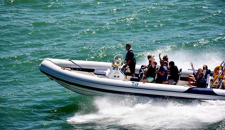 Qingdao Tritrust Boat Co.,Ltd - 安防监控模板